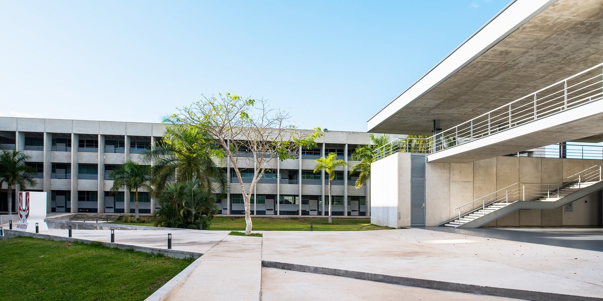 Beneficios de estudiar en la Universidad Marista