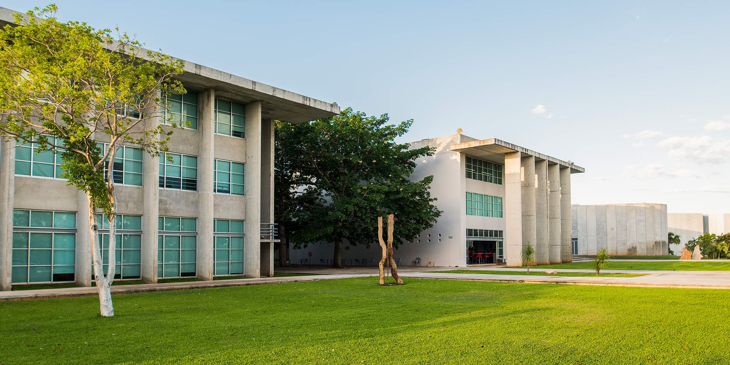 ¿Por qué Mérida es una de las mejores ciudades para estudiar la ...