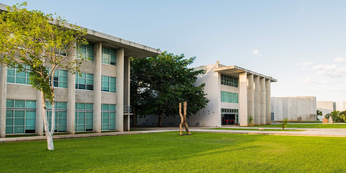 ¿Por qué Mérida es una de las mejores ciudades para estudiar la ...